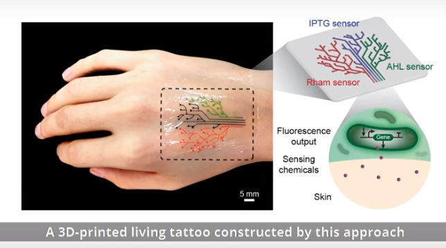 MIT Bio-Engineers Make 'Living Tattoo' From Genetic Cell Ink - Signs Of ...
