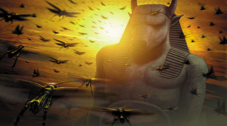 Locusts-Plague-On-Egypt - Signs Of The Last Days
