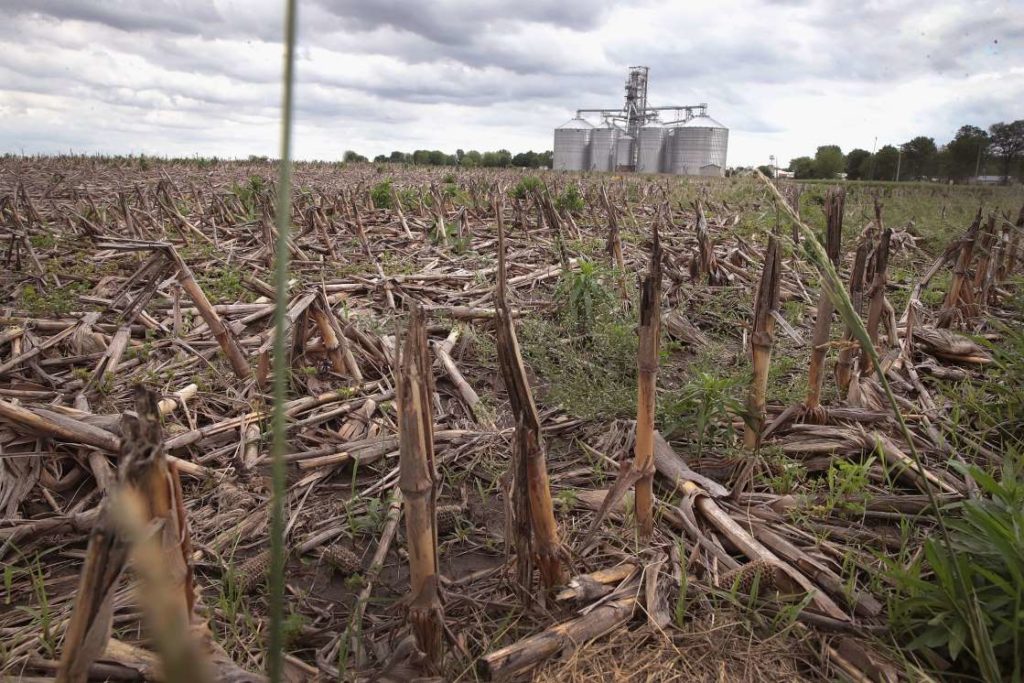 U.S. Farmers Throw In The Towel After Point Of No Return Over Weather ...
