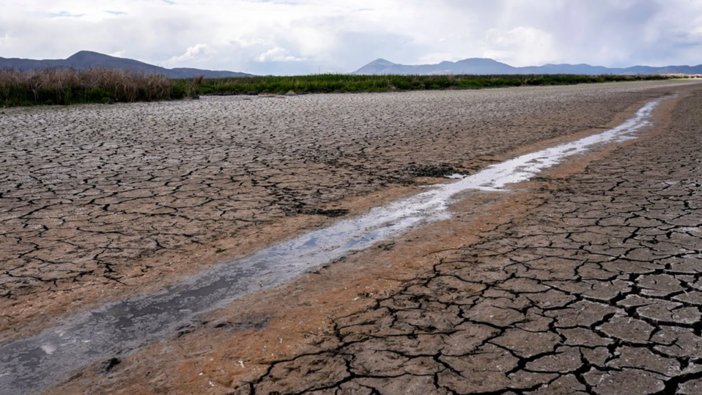 Historic Water Restrictions in U.S. From Unprecedented Drought - Signs ...