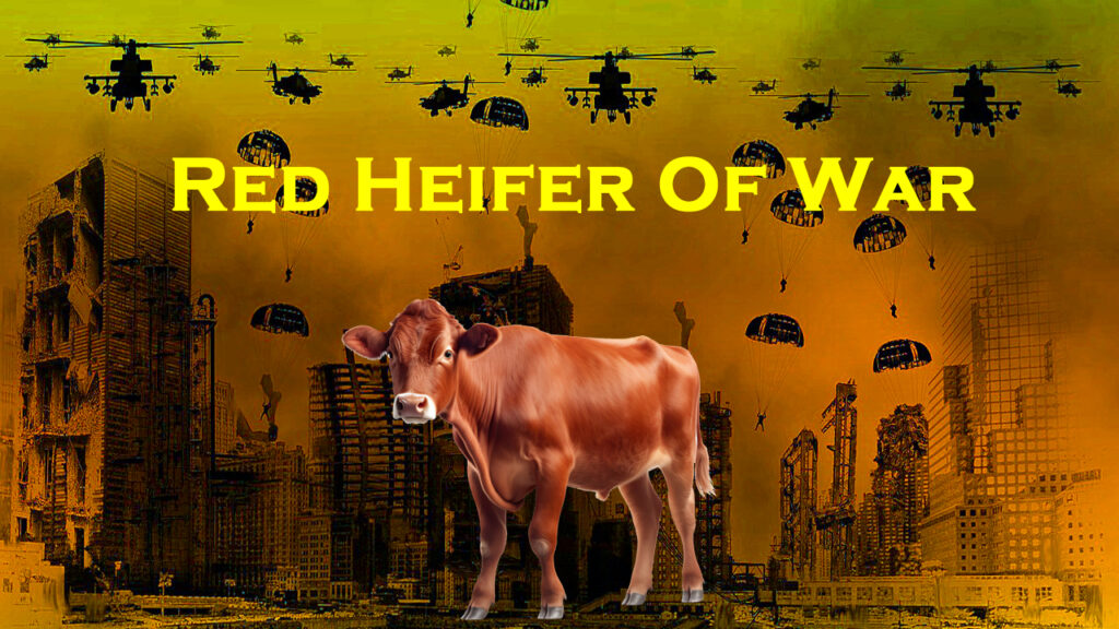 The Red Heifer Of War - Signs Of The Last Days